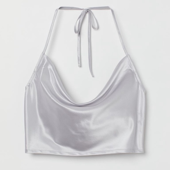 H&M | Tops | Hm Satin Crop Top Halter | Poshmark